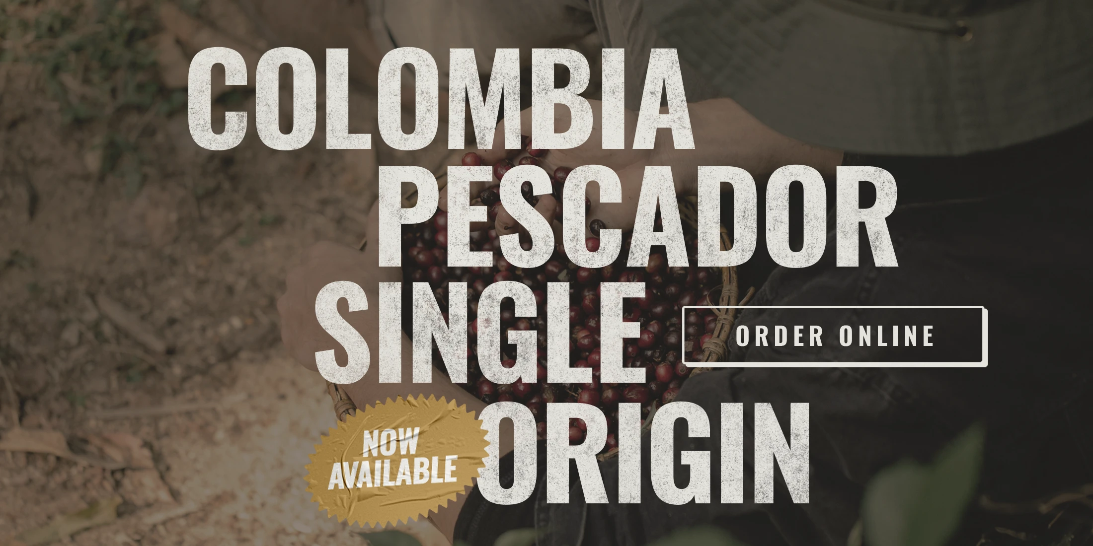 Underground Coffee Roasters — Specialty Coffee Roastery NZ