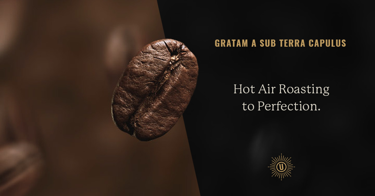 Underground Coffee Roasters — Specialty Coffee Roastery NZ